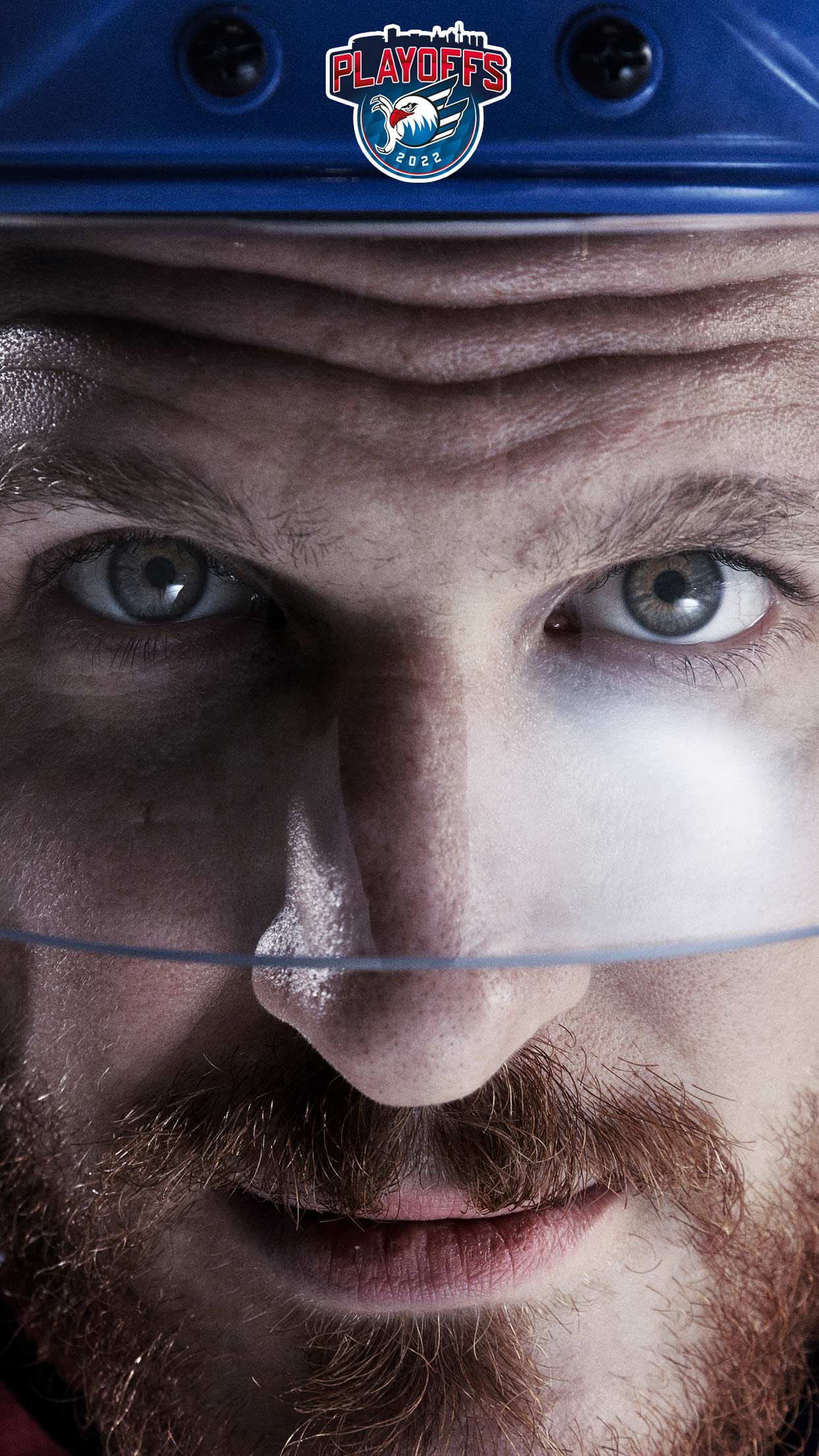 Downloads » Adler Mannheim