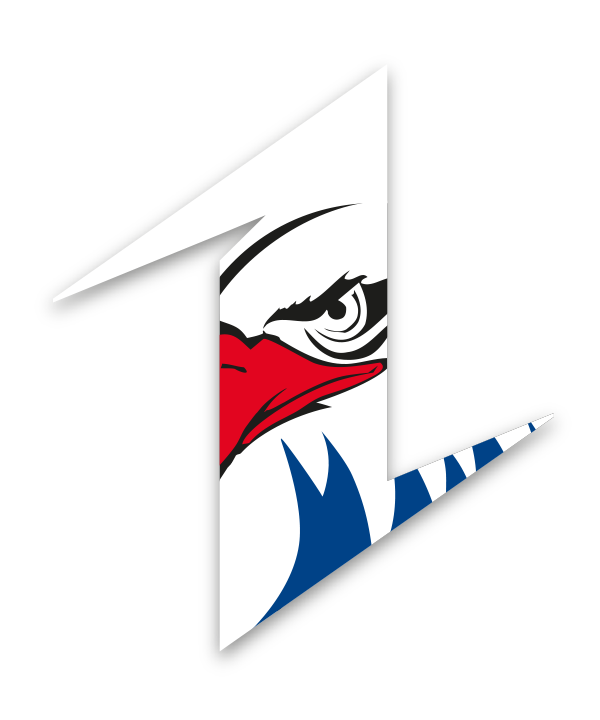Startseite » Adler Mannheim